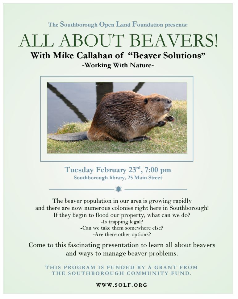 SOLF presents Beaver Solutions - February 23 - My Southborough