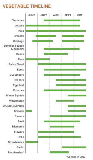 Chestnut Hill Farm: Expanded CSA and offerings - My Southborough