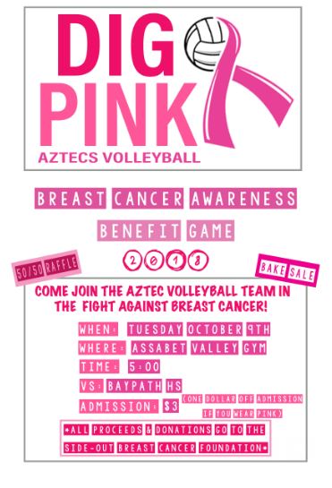 Breast Cancer Awareness: Volleyball Digs Pink; SPD sporting & selling ...