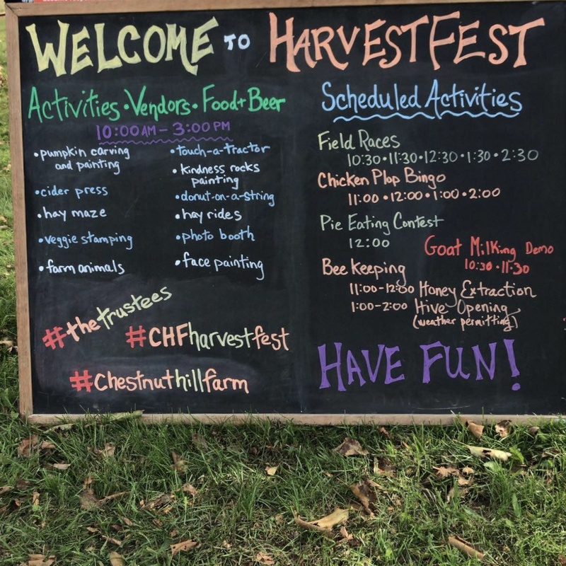 Photo Gallery: HarvestFest 2018 - Fun at the farm - My Southborough