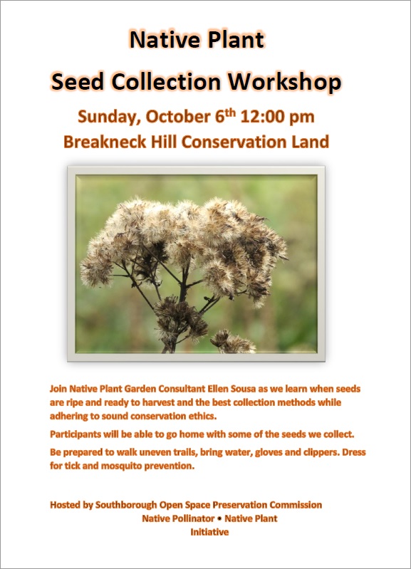 Native Plant Seed Collection Workshop - Sunday at Breakneck Hill - My ...