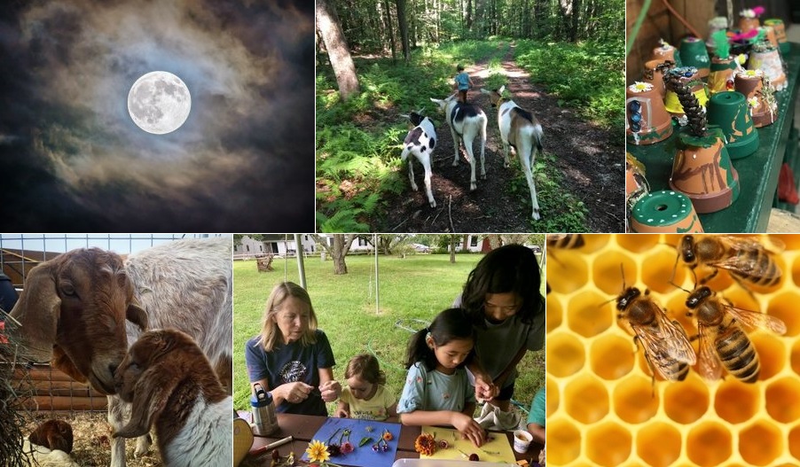 Chestnut Hill Farms announces summer events (Updated – Again)