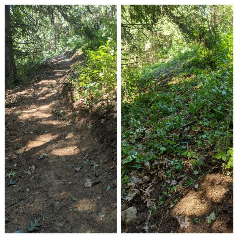 Trails Update: Bay Circuit and Boroughs Loop Connector reconstructed ...