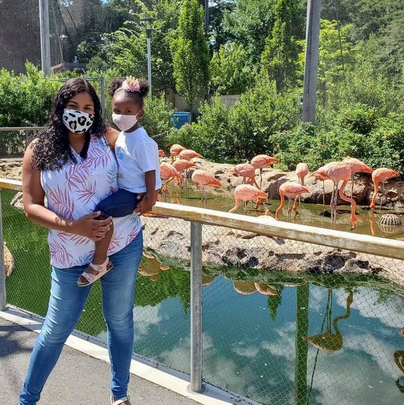 Library Museum/Zoo/Venue Passes: Some available for use; survey on ...