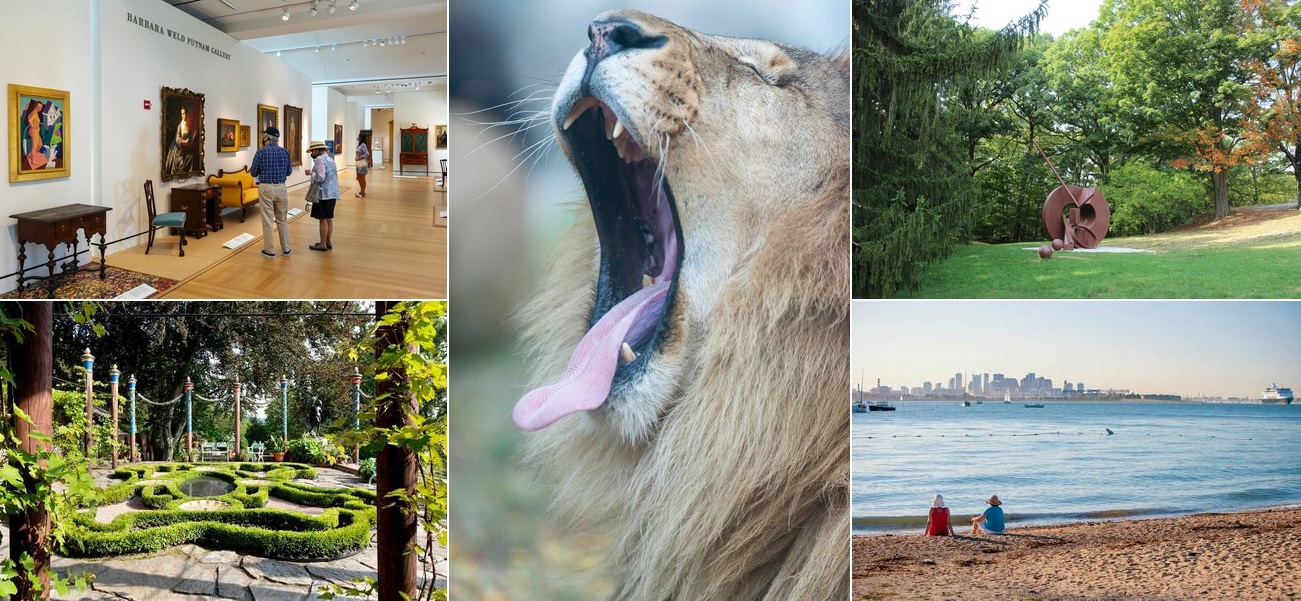 Library Museum/Zoo/Venue Passes: Some available for use; survey on ...