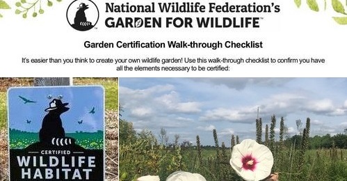 Certify your own yard/garden a “Wildlife Habitat”