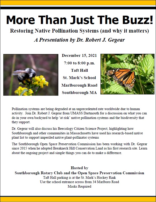 More Than Just The Buzz! Restoring native pollinations systems ...