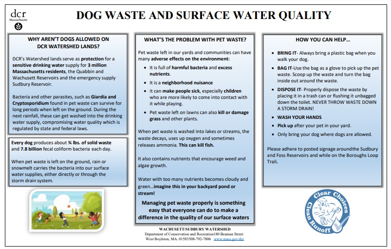 "Scoop the Poop": Town educating public on the importance of cleaning ...