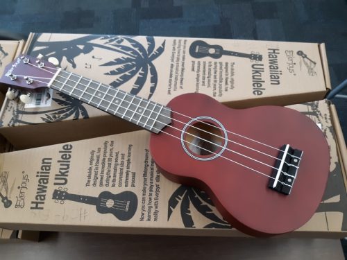 Learn to play the Ukulele - My Southborough