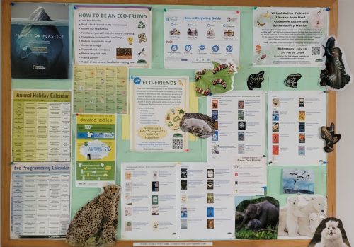 Library encouraging teens to become Eco-Friends - My Southborough