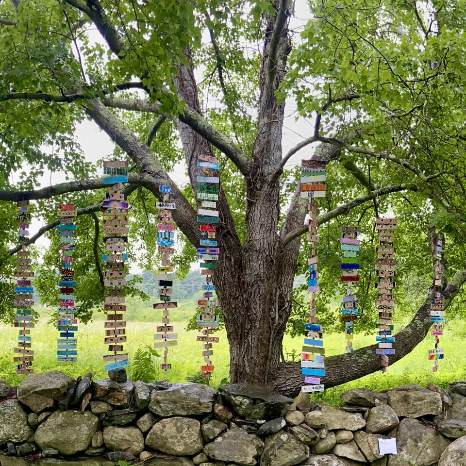 Neary students exhibit their creativity through Art on the Trails - My ...