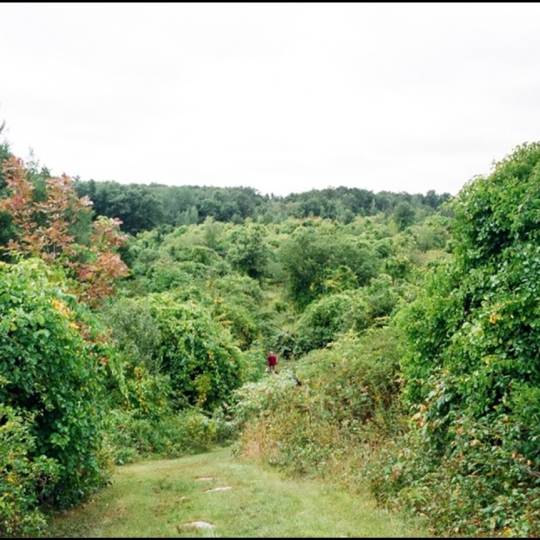 Stewardship Committee explains its approach to "Roadside Meadow" at ...